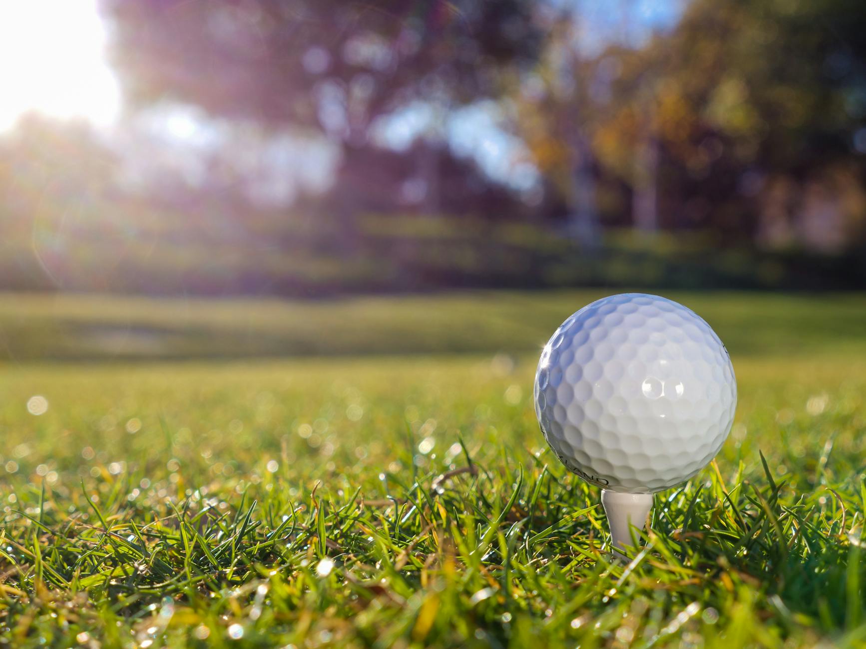 FedEx St. Jude Championship 2026 | Date, How to Watch & Guide